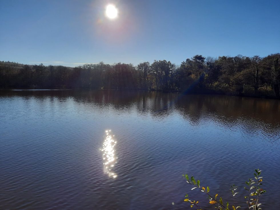 Réserve Naturelle Régionale du marais de Condette - Condette