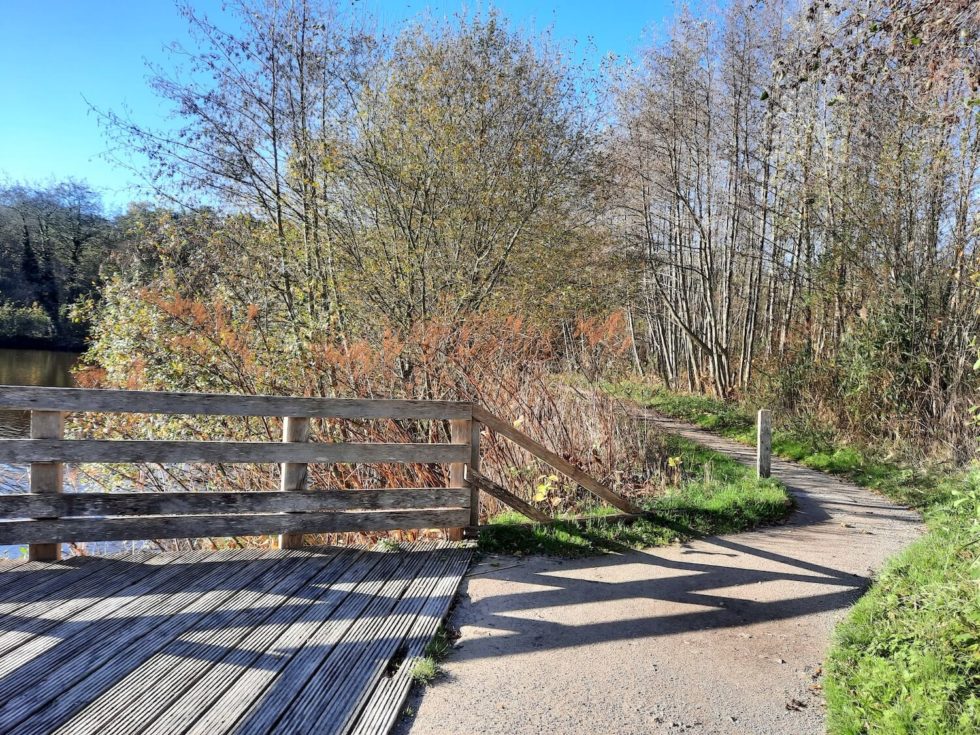 Réserve Naturelle Régionale du marais de Condette - Condette